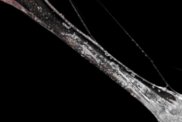 Overview of adhesive layers